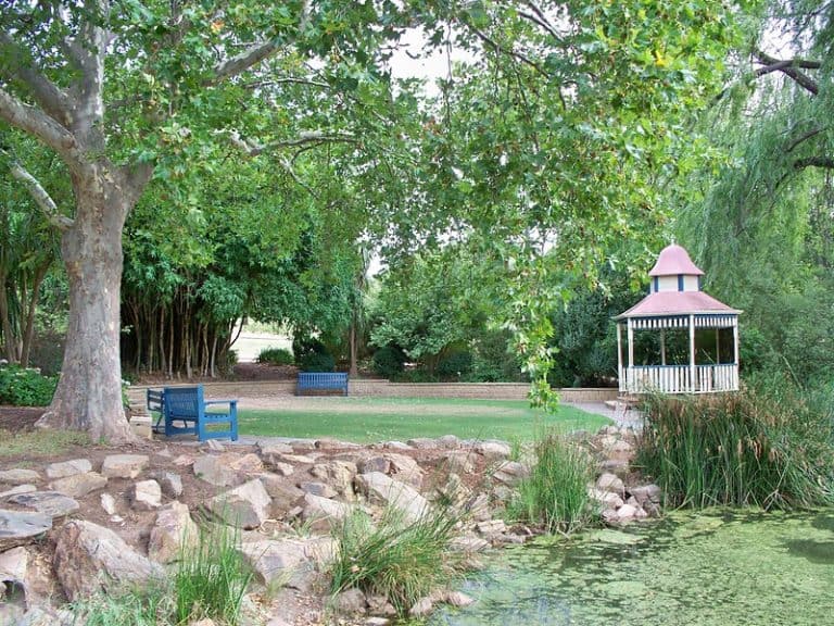 Things to do in Wagga Wagga - NSW - Australia - Travelodium Travel Magazine