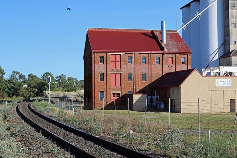 Things to Do in Gunnedah NSW - Travelodium Travel Magazine